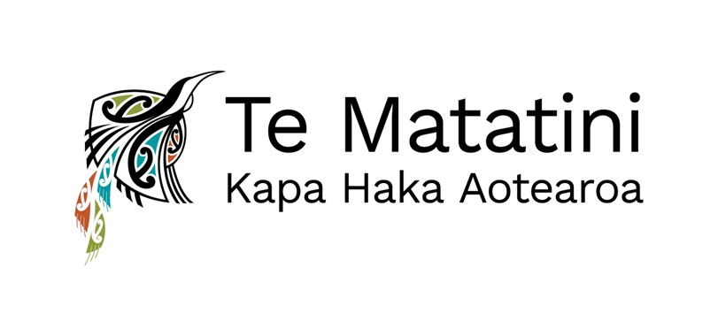 Contact Us - Te Matatini